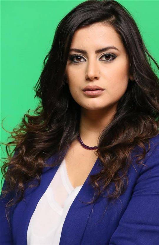 Ghadi Francis: Lebanon Lacks Internal Decision-Making and Government ...