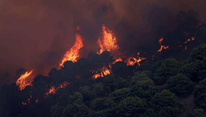 Title: Wildfires in Spain Lead to Evacuation of Villagers | Waradana