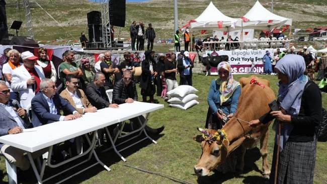 Turkish Competition to Choose the Most Beautiful Cow | Waradana