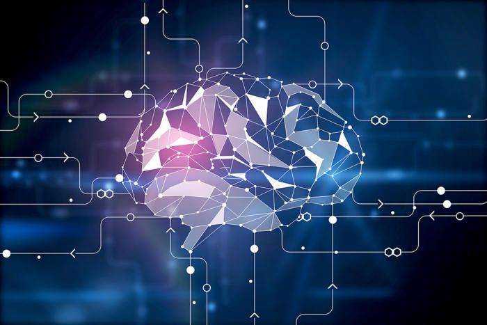 Japan Transforms Brain Signals into Images | Waradana