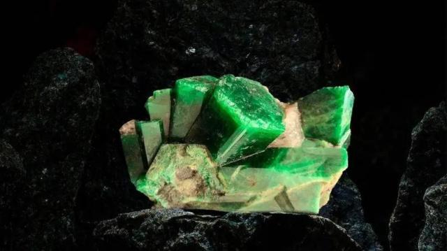The Largest Emerald in the World Arrives in Sharjah | Waradana