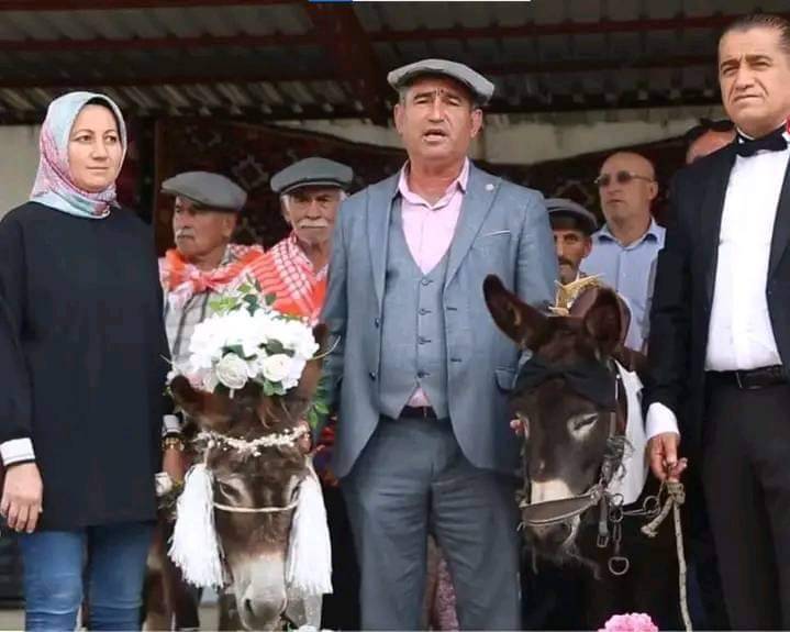 Wedding for Two Donkeys in Turkey and Honeymoon Gifts | Waradana