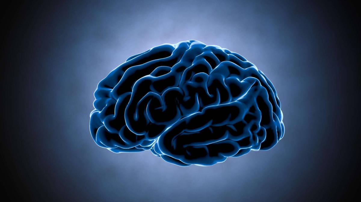 Reviving a Frozen Brain | Waradana