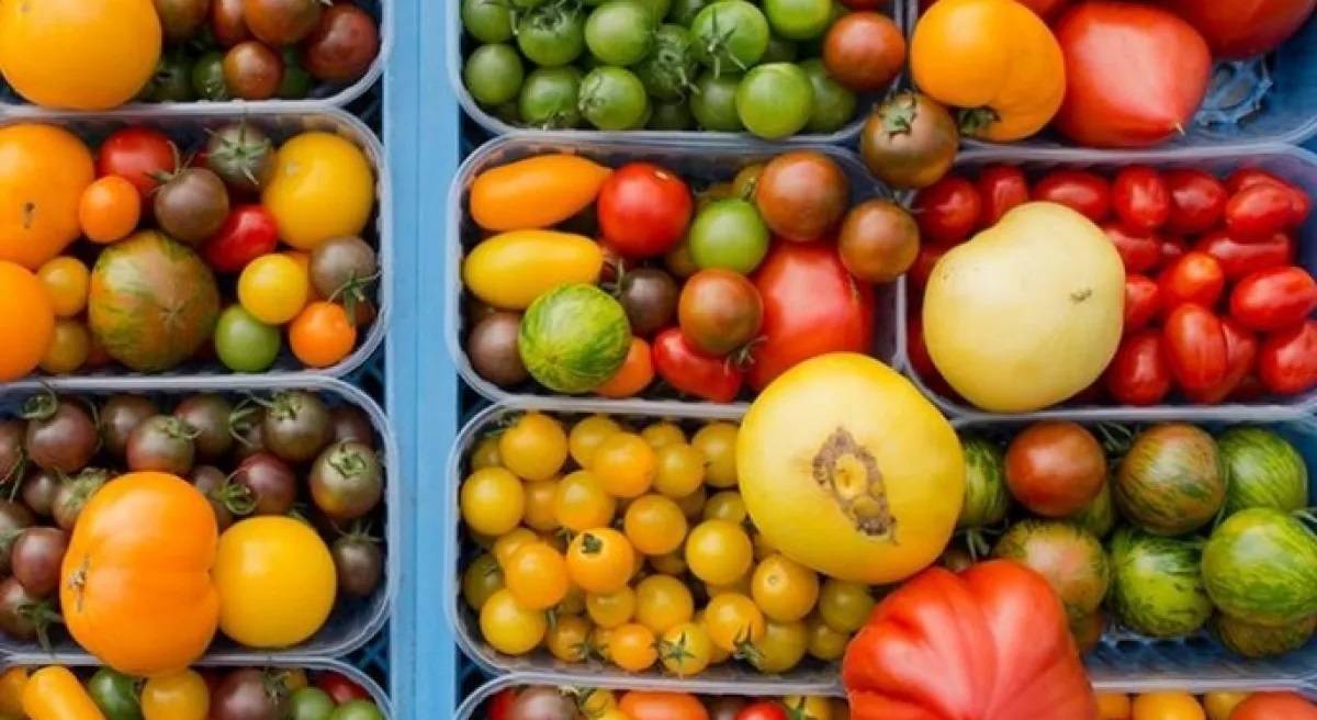 Sources of Tomato Colors and Their Nutritional Properties | Waradana