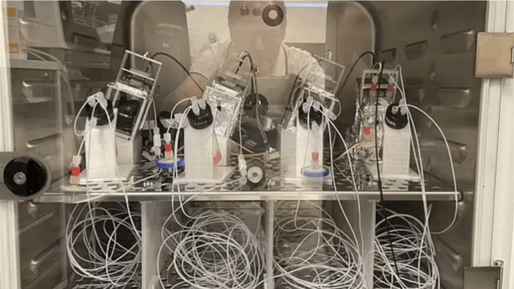 Supercomputer from Human Brain Cells! | Waradana